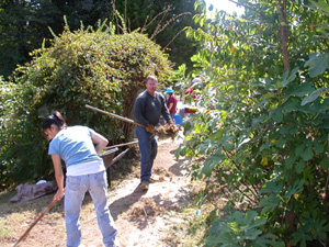 Volunteer Opportunities